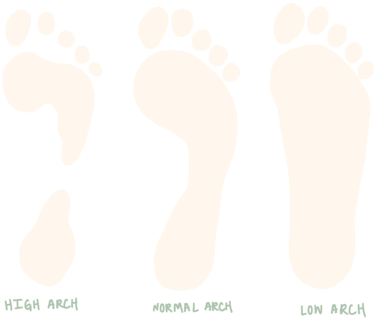 The Dancer’s Guide to Foot Arches - Baseline Dance