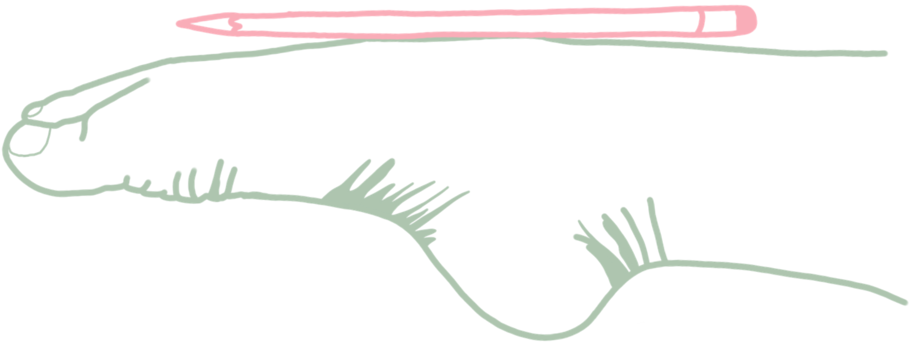 The Dancer’s Guide to Foot Arches - Baseline Dance